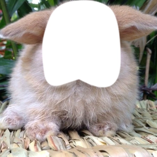 Lapinou Montaje Fotografico | Pixiz