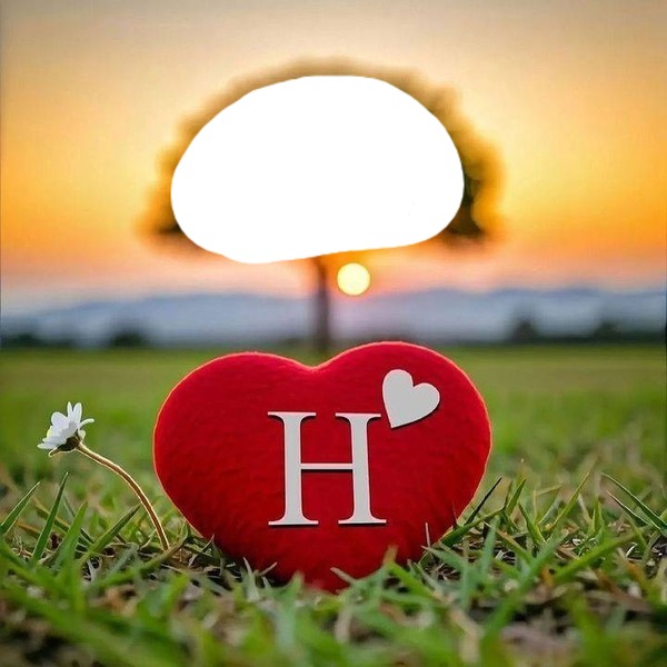 memsi Montage photo | Pixiz