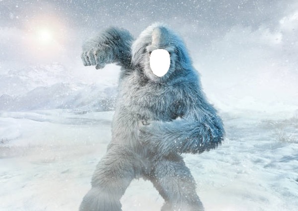 yeti Montage photo | Pixiz