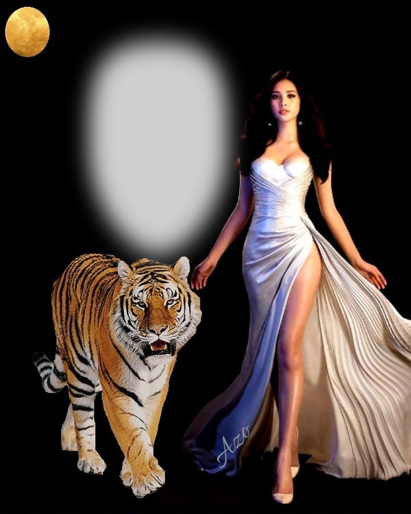 4513 Design Template | Pixiz