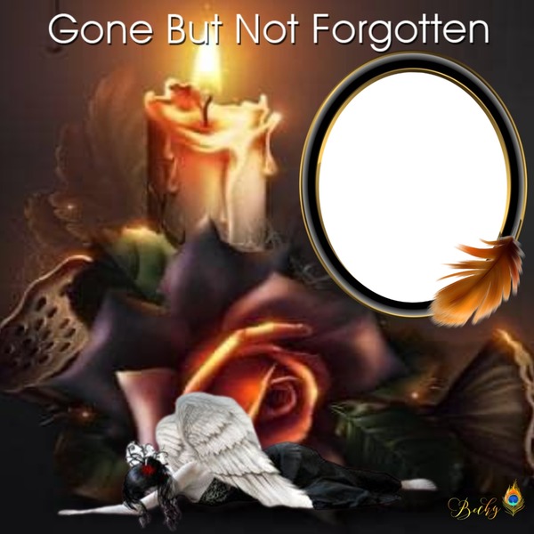 gone but not forgotten Montage photo | Pixiz