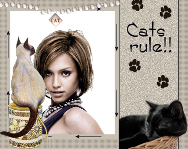 Cats Cats Rule Photo Frame Effect | Pixiz