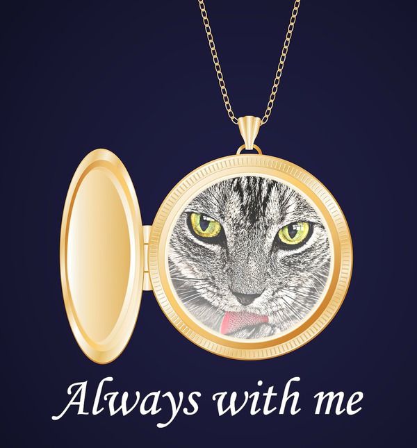 Photo In A Medallion Photo Frame Effect | Pixiz