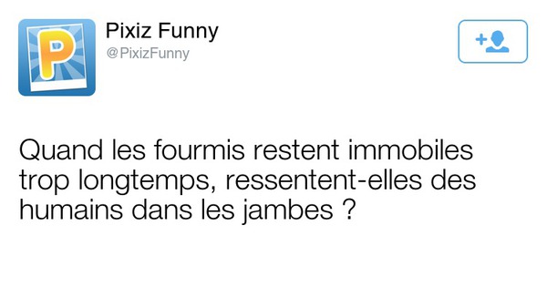 Fake Tweet Customizable Tweeter Photo Frame Effect | Pixiz