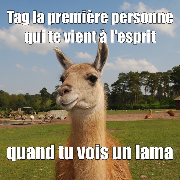 Panneau Meme avec texte en haut et en bas Montage Photo | Pixiz