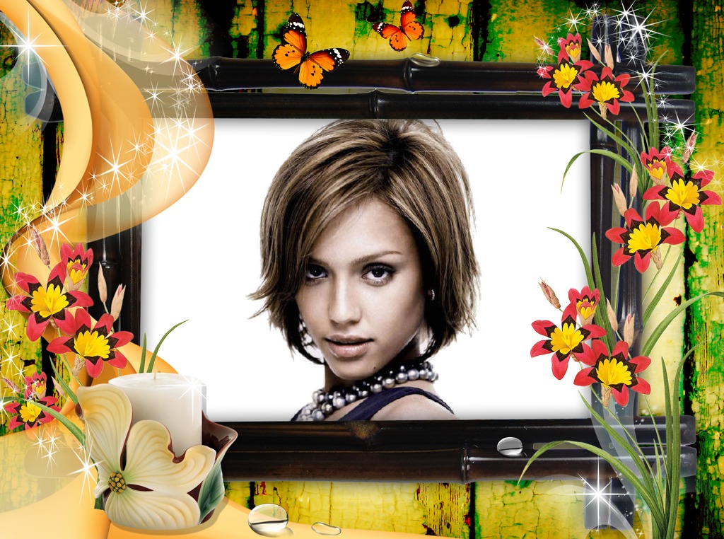 Flowers Butterflies Photo Frame Effect | Pixiz