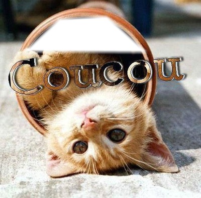 COUCOU Photo Frame Effect | Pixiz