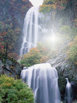 444444 Design Template | Pixiz