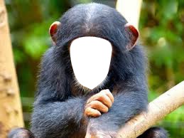 cxsd Montage photo | Pixiz