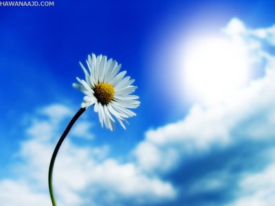 paront Montage photo | Pixiz