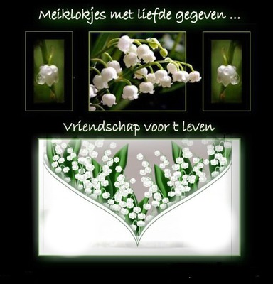 Meiklokjes Photo Frame Effect | Pixiz