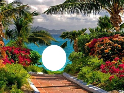 Nature Design Template | Pixiz