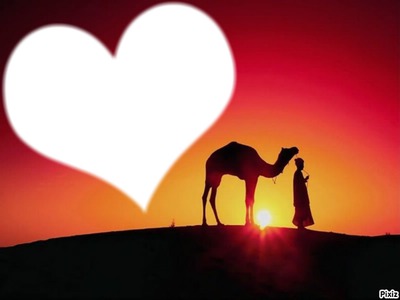 gggggggggg Fotoğraf editörü | Pixiz