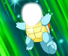 cara carapuce!!! Montage photo | Pixiz