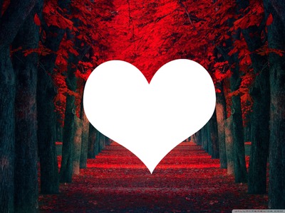 sdgsd Montaje Fotografico | Pixiz