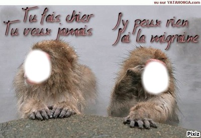 mdrr Montaje Fotografico | Pixiz