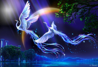 Feerique Photo Frame Effect | Pixiz