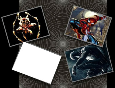 SPIDER Montage photo | Pixiz