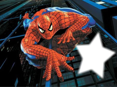 spider Montage photo | Pixiz