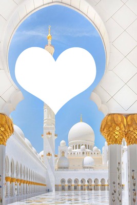 mosq Montage photo | Pixiz