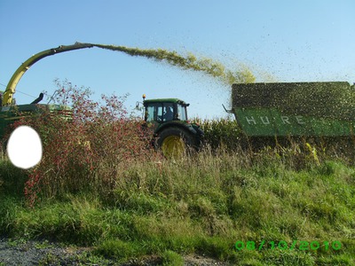 ensillage Montage photo | Pixiz