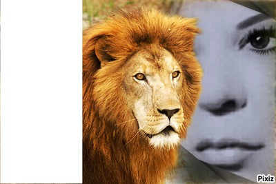 leo montajes fotográficos [pags. 1/3] | Pixiz