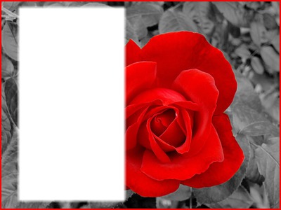 Rouges Photo Frame Effect | Pixiz