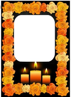 cempasúchil Montaje Fotografico | Pixiz