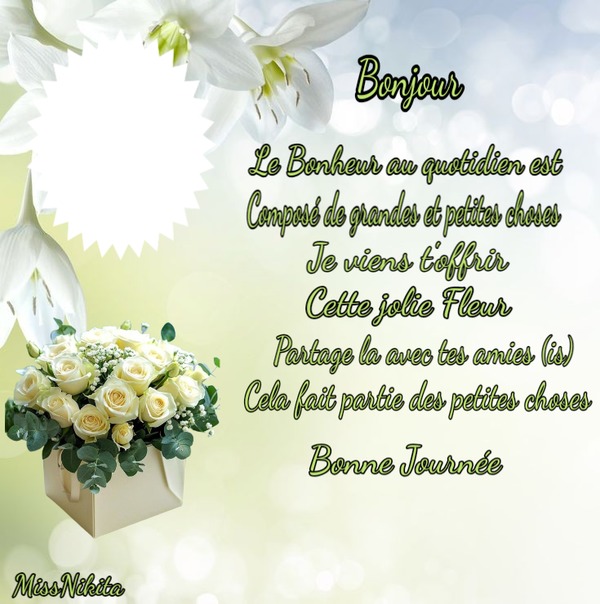 BONJOUR Design Template | Pixiz