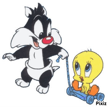 titit Design Template | Pixiz