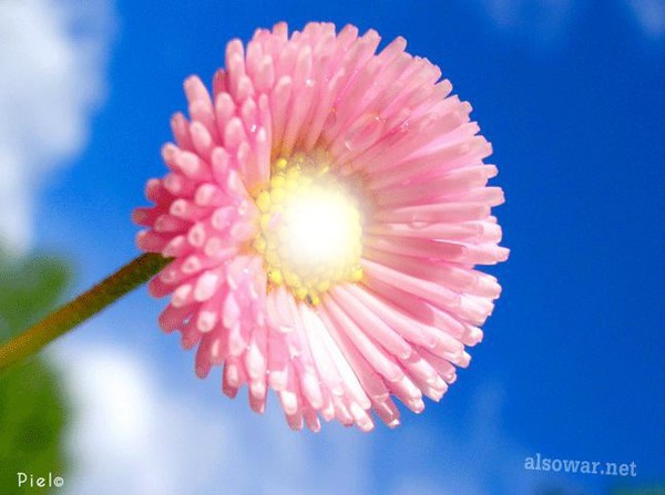 paront Montage photo | Pixiz