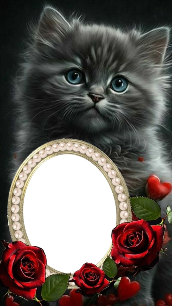 Frames Photo Frame Effect | Pixiz