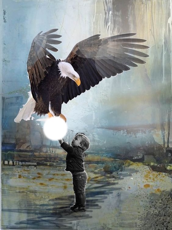 mirko Montage photo | Pixiz