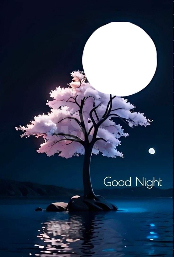 Laku Noc Photo Frame Effect | Pixiz