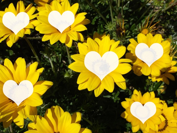 ESSAI Montage photo | Pixiz