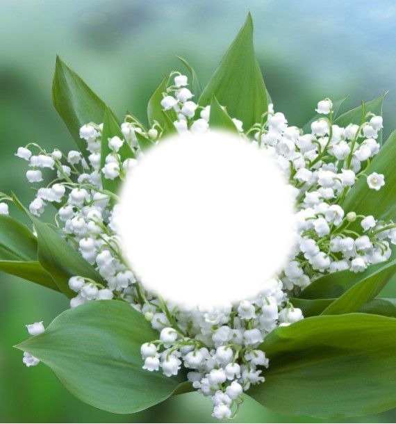 Muguets Photo Frame Effect | Pixiz