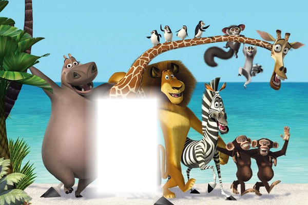 madagascar Design Template | Pixiz