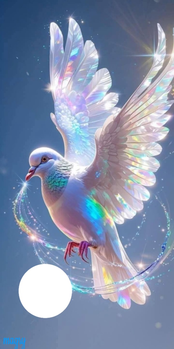 Magry Photo Frame Effect | Pixiz