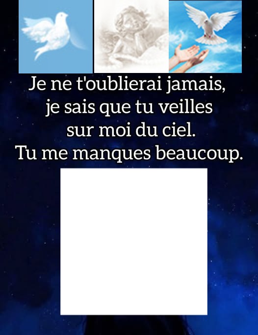 Tristesse Photo Frame Effect | Pixiz