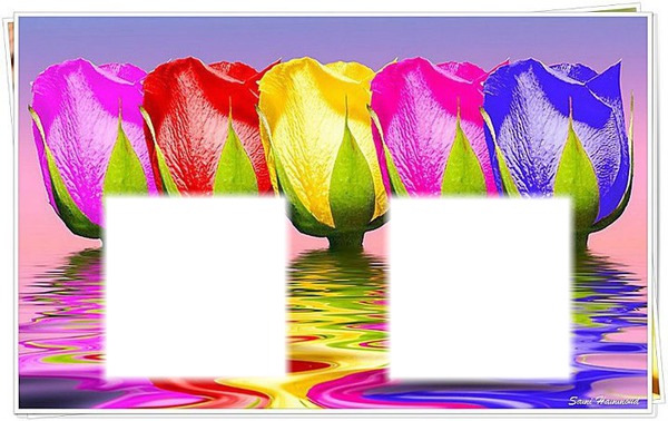 Colores Photo Frame Effect | Pixiz