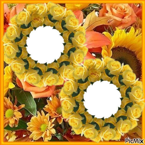 collage Montaje Fotografico | Pixiz