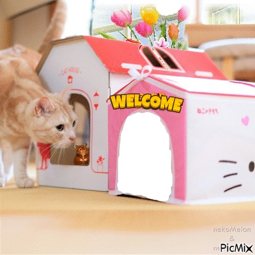 welcome Montage photo | Pixiz