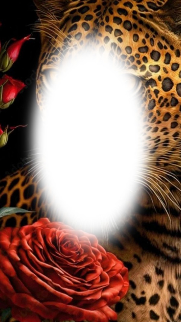 Leo Photo Frame Effect | Pixiz