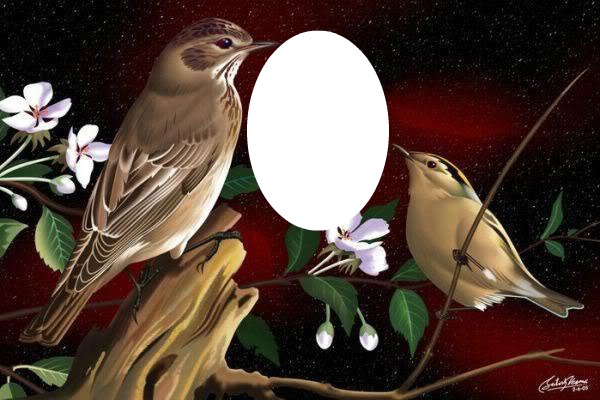 amour Montaje fotografico | Pixiz