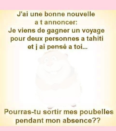 Mdr Photo Frame Effect | Pixiz