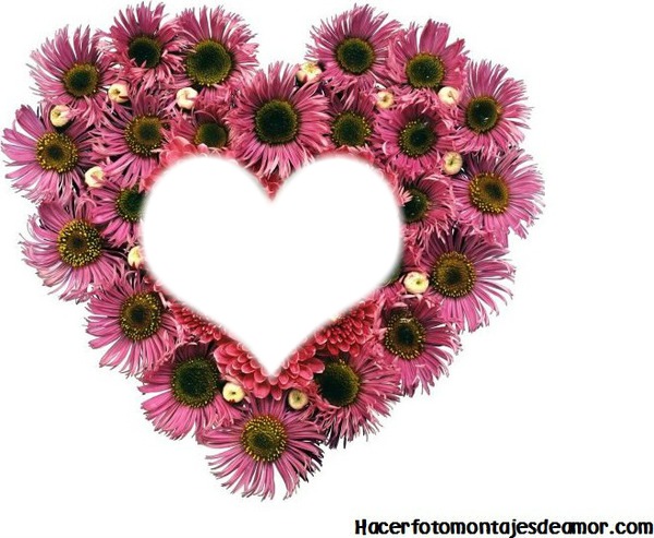 Flo Photo Frame Effect | Pixiz