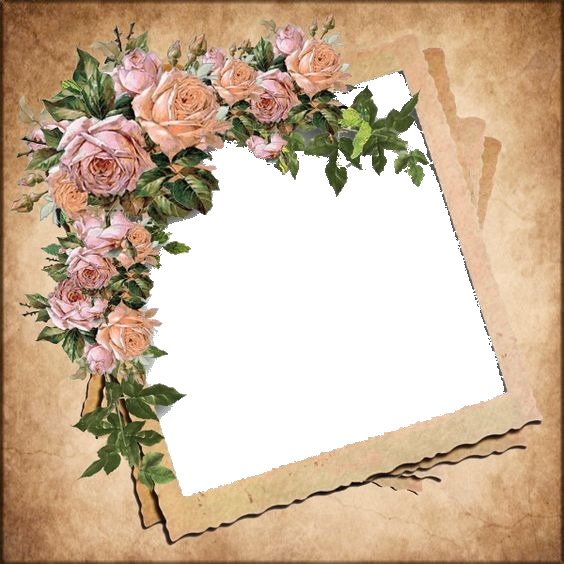 Flowers frame Montage photo | Pixiz