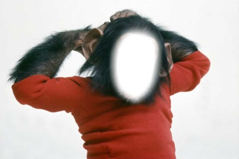 jkhgh Montage photo | Pixiz