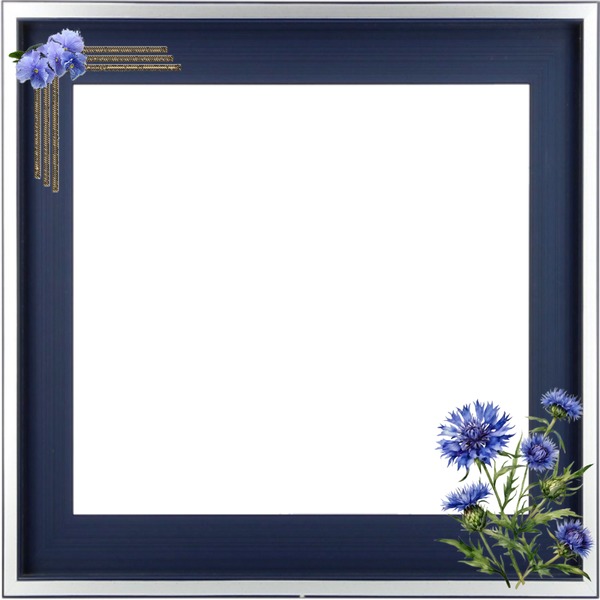 Rahmen Photo Frame Effect | Pixiz