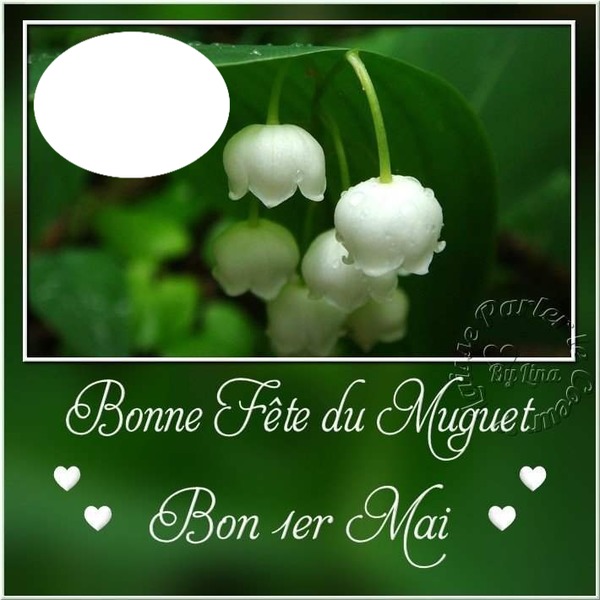 labrousse Montaje fotografico | Pixiz